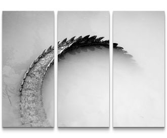 Paul Sinus Art Leinwandbilder | Bilder Leinwand 130x90cm Schwanz eines Salzwasser Krokodils