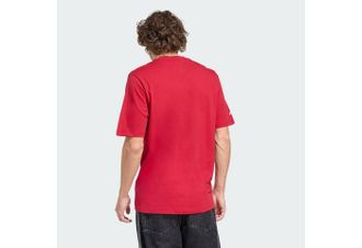 adidas Performance T-Shirt LIVERPOOL FC SEASONAL GRAPHIC T-SHIRT (1-tlg)