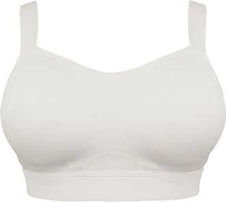 SugarShape BH Jive