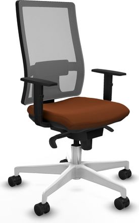 Piqueras y Crespo B&uuml;rostuhl f&uuml;r R&uuml;ckenprobleme mit 1D-Armen, h&ouml;henverstellbare Lendenwirbelst&uuml;tze, ausgestattet mit 5 Positionen und injiziertem Schaumstoff, Grau/Braun