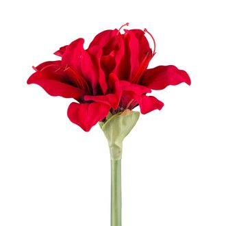 Creativ Green Amaryllis Kunstblume 50 cm Rot - Weihnachtsdeko Kunstpflanze f&uuml;r Festliche Dekoration & Advent - Weihnachtsstern f&uuml;r Vase - weihnachtliche k&uuml;nstliche 