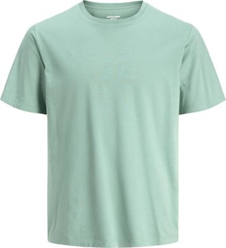 Jack & Jones Jjeorganic Basic Tee Ss O-Neck Noos