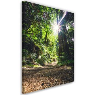 Feeby Bild auf Leinwand Natur Kunstdruck Modern Landschaft Wald Pfad B&auml;ume Gr&uuml;n 60x90 cm