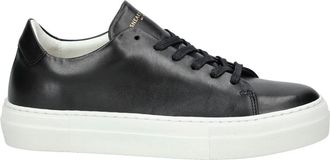 Sneaky Steve Sneaker