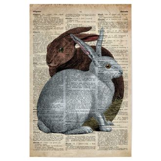 artboxONE Poster 45x30 cm Tiere Kaninchen Paar hochwertiger Design Kunstdruck - Bild Tier hase Liebe