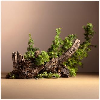 Wallario Sticker/Aufkleber f&uuml;r K&uuml;hlschrank/Geschirrsp&uuml;ler/K&uuml;chenschr&auml;nke, Selbstklebende Folie - 60 x 60 cm, Motiv: Komposition aus Holz und Gr&uuml;n