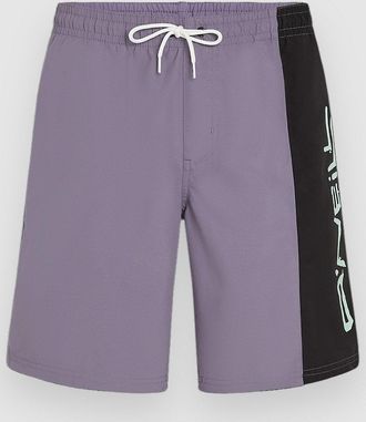 O'Neill Retro 19 Boardshorts storm colour block