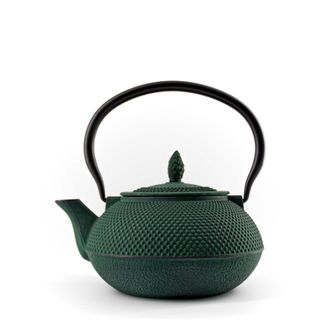 Generic ARARE Tetsubin Gusseisenkanne 900 ml &Oslash; 14,6 cm japanisch Tee-Kanne Gr&uuml;n