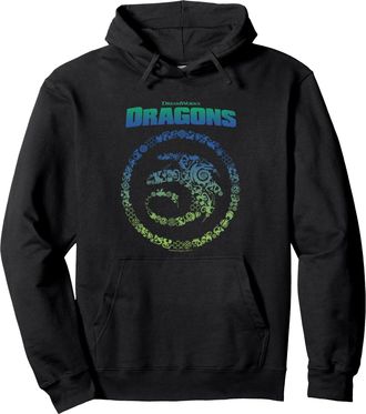 How To Train Your Dragon Toothless Vintage Symbols Logo Pullover Hoodie