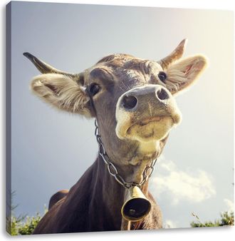 Pixxprint Lustiges Portrait Einer Kuh, Größe: 60x60 cm, Leinwandbild Quadratisch, Wandbild, Kunstdruck, fertig bespannt