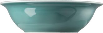Thomas 11400-401921-10580 Trend Colour Ice Blue Bowl 17 cm (1 Stück)