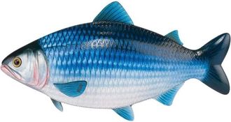 Moschino Femme, Sacs, Bleu, Taille: ONE Size Fish Bag