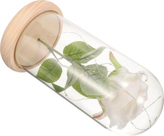 Pretyzoom Glasschirmbox mit Konservierter Rose Ewige Blumen Dekoration in Glas Romantisches Geschenk zum Valentinstag f&uuml;r Zuhause und B&uuml;ro