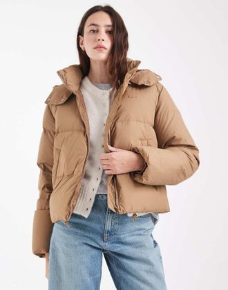 Lacoste doudoune courte &agrave; capuche marron
