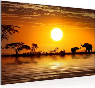 Runa Art Bild Afrika Elefant Modern Wandbilder Wohnzimmer Schlafzimmer 1 Teilig - Made In Germany - Panorama Savanne Orange Flur 000515a