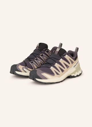 Salomon Wanderschuhe Xa Pro 3d v9 Gtx grau