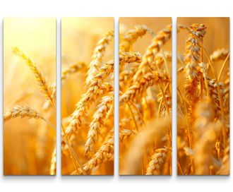 Paul Sinus Art Weizen&auml;hren, Nahaufnahme - 4 teiliges Canvas Bild 4x30x90cm