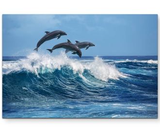 Paul Sinus Art Leinwandbilder | Bilder Leinwand 120x80cm springende Delphine