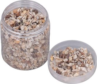 Generic Winzige, Nicht Por&ouml;se Spiralmuscheln Zum Basteln und Dekorieren f&uuml;r Nautische Themenpartys