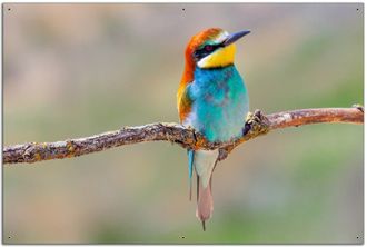 Wallario Outdoor-Poster f&uuml;r Garten oder Balkon Vogel auf AST, Motivbanner Gr&ouml;&szlig;e: ca. 60 x 90 cm, Outdoor-Bild