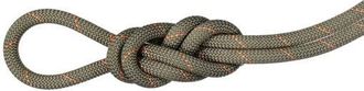 Mammut 9.9 Gym Workhorse Classic Rope - Einfachseil