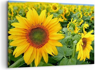 Arttor Bilder auf Leinwand 100x70cm Leinwandbild Wolken Sonnenblumen Plantagen Groß Wanddeko Bild Schlafzimmer Küche Deko Wandbilder Dekoration Wohnzimmer Wa