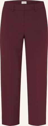 Seductive Seductive Hose Lucasse rot