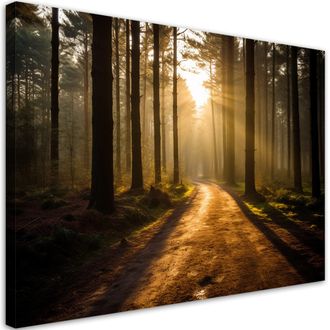 Feeby Bild Auf Leinwand Straße Wald Sonne 60x40 cm 1 tlg Schlafzimmer Modern Vlies Leinwandbilder Bild auf Leinwand Kunstdruck Wand Wanddeko Design Wohnzimm
