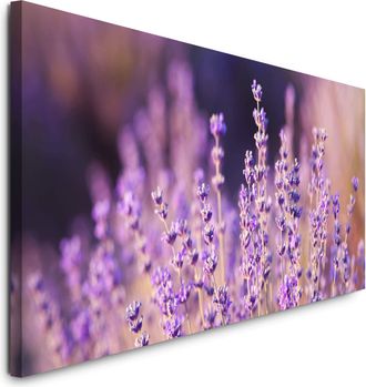 Paul Sinus Art GmbH Lavendel Nahaufnahme 120x 50cm Panorama Leinwand Bild XXL Format Wandbilder Wohnzimmer Wohnung Deko Kunstdrucke