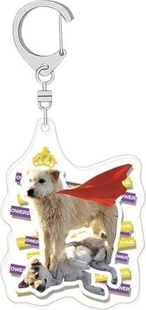 Generico Hundeschl&uuml;sselanh&auml;nger - Acryl Schl&uuml;sselanh&auml;nger | Acryl Hochglanz Tier Anh&auml;nger F&uuml;r Kinder Erwachsene Geburtstag Geschenk Party Deko Schl&uuml;sselbund Au