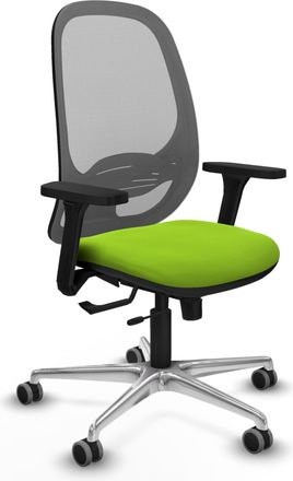 Piqueras y Crespo Stuhl mit Rollen f&uuml;r PC Cilanco mit 3D-Armen, h&ouml;henverstellbare Lendenwirbelst&uuml;tze, ausgestattet mit Syncro/Translack und Schneidschaum, Grau/Pistazie