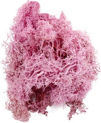 Generic K&uuml;nstliches Moos, Gr&uuml;nes Gras f&uuml;r Tafelaufs&auml;tze, Gr&uuml;ne Pflanzen, Ewiges Leben, Moosgras - Heim, Wohnzimmer, Garten Dekoration (Lila)