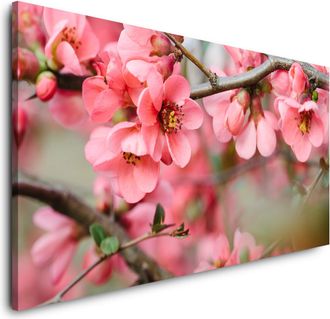 Paul Sinus Art Blume 120x 60cm Panorama Leinwand Bild XXL Format Wandbilder Wohnzimmer Wohnung Deko Kunstdrucke