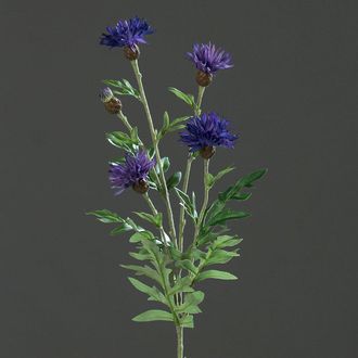 DPI Flockenblume Centaurea blau 62 cm Kunstblume von DPI
