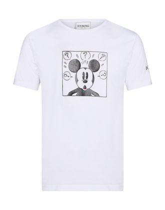 Iceberg DISNEY