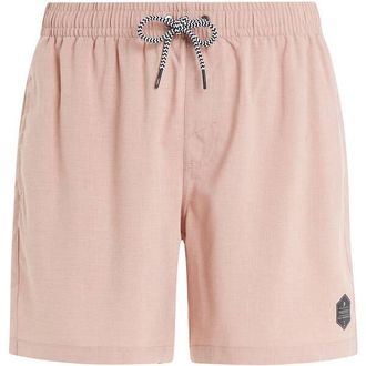 Protest Herren Badeshorts DAVEY beachshort