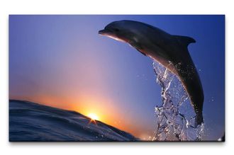 Paul Sinus Art Bilder XXL Delfin im Meer mit Wellen 120x70cm Wandbild auf Leinwand
