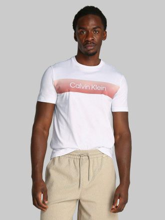 Calvin Klein T-Shirt LINEAR OMBRE CHEST LOGO T-SHIRT mit Ombr&eacute;-Logo-Druck
