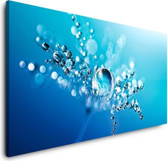 Paul Sinus Art Wassertropfen an Pflanzen 120x 60cm Panorama Leinwand Bild XXL Format Wandbilder Wohnzimmer Wohnung Deko Kunstdrucke