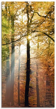 Artland ARTland Wanddeko Glasbilder Wandbild Glas Bild einteilig 30x60 cm Hochformat Natur Landschaft Wald Herbst Sonne Bäume Landhaus T5VL