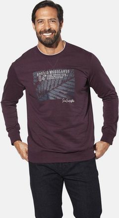 Jan Vanderstorm Sweatshirt LINDSKOV mit nordischem Aufdruck