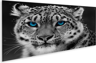 Islandburner Bild auf Leinwand Leuchtend Blaue Augen Schneeleopard Bilder Wandbilder 120x40cm