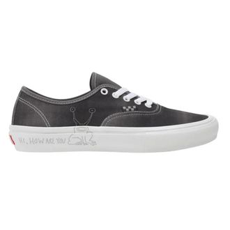 Vans Homme, Sport, Gris, Taille: 41 EU Skate Authentic