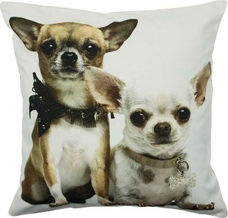 Mars & More Kissen - Canvas - 2 Chihuahuas - 50x50cm
