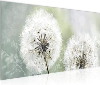Runa Art Wandbild Pusteblume 1 Teilig 100 x 40 cm Modern Bild auf Vlies Leinwand Natur Wohnzimmer Schlafzimmer Grau Grün 207112a