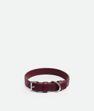 Bottega Veneta Collier Pour Chien Intrecciato Petit Format - Bottega Veneta