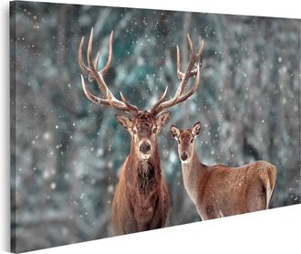 Islandburner Bild auf Leinwand Hirsch Und Hirschkuh Im Winterwald Zauberhafte Schneelandschaft Bilder Wandbilder Poster