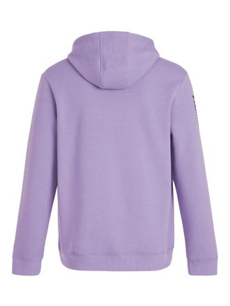 Protest Pullover CLASSIC LOGO HOODY