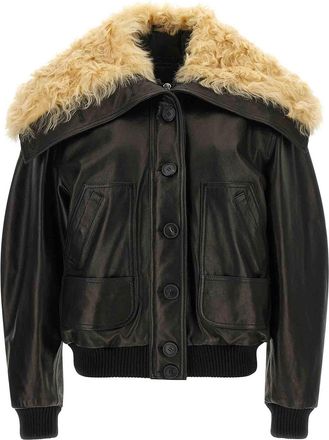 The Attico Bomber - Noir