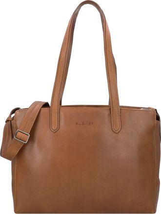 Plevier Shopper Power